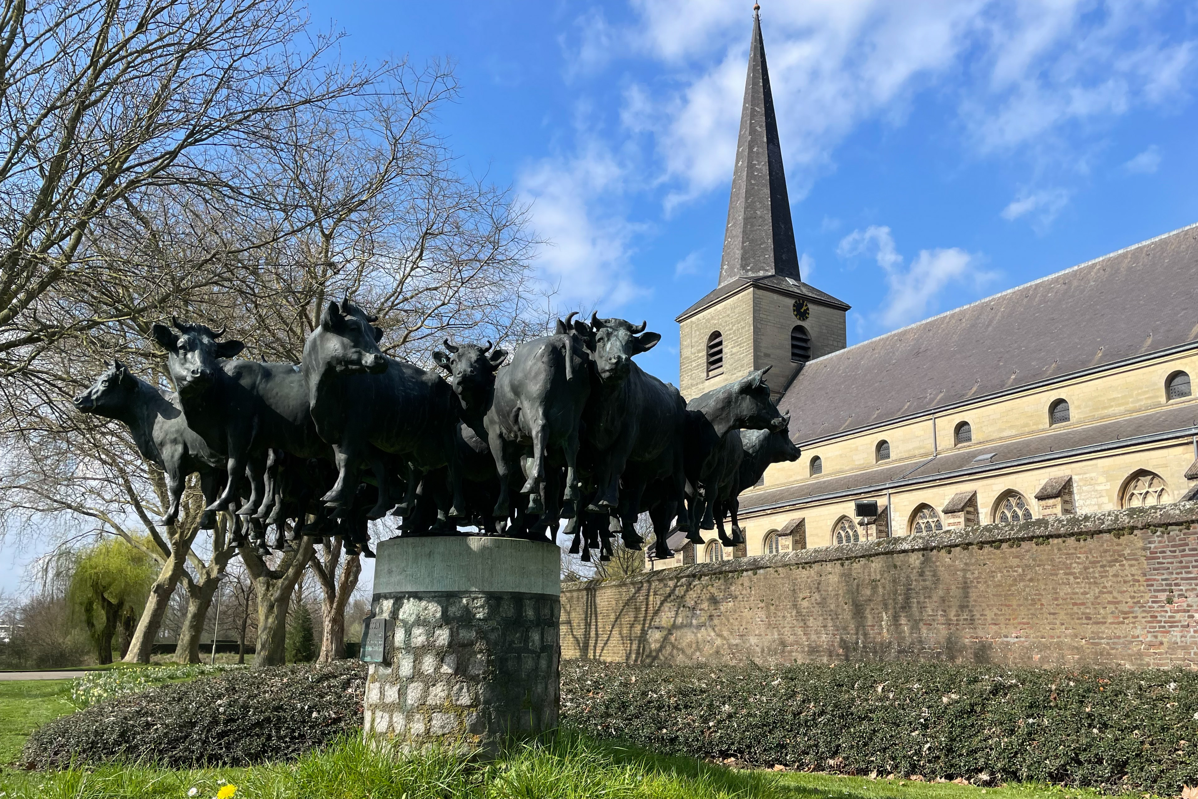 Het drama van de Koeweide in Wessem | HALLO Online