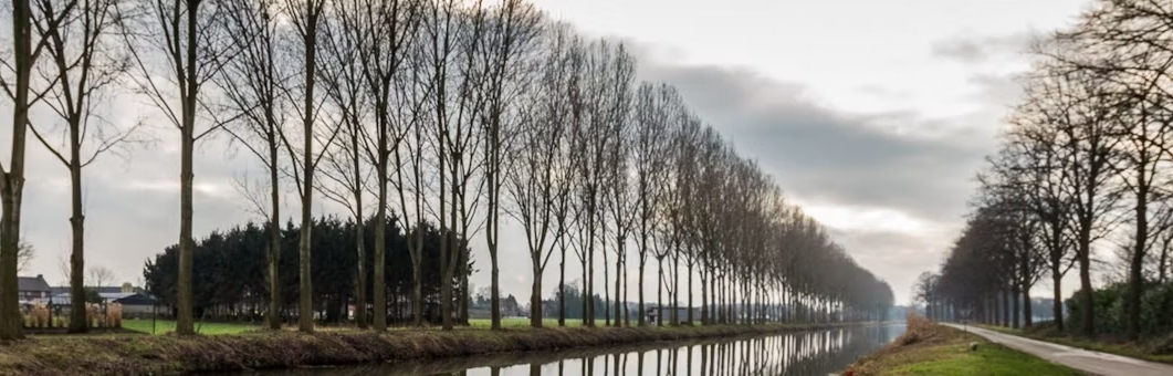 Lezing over de Noordervaart | HALLO Online