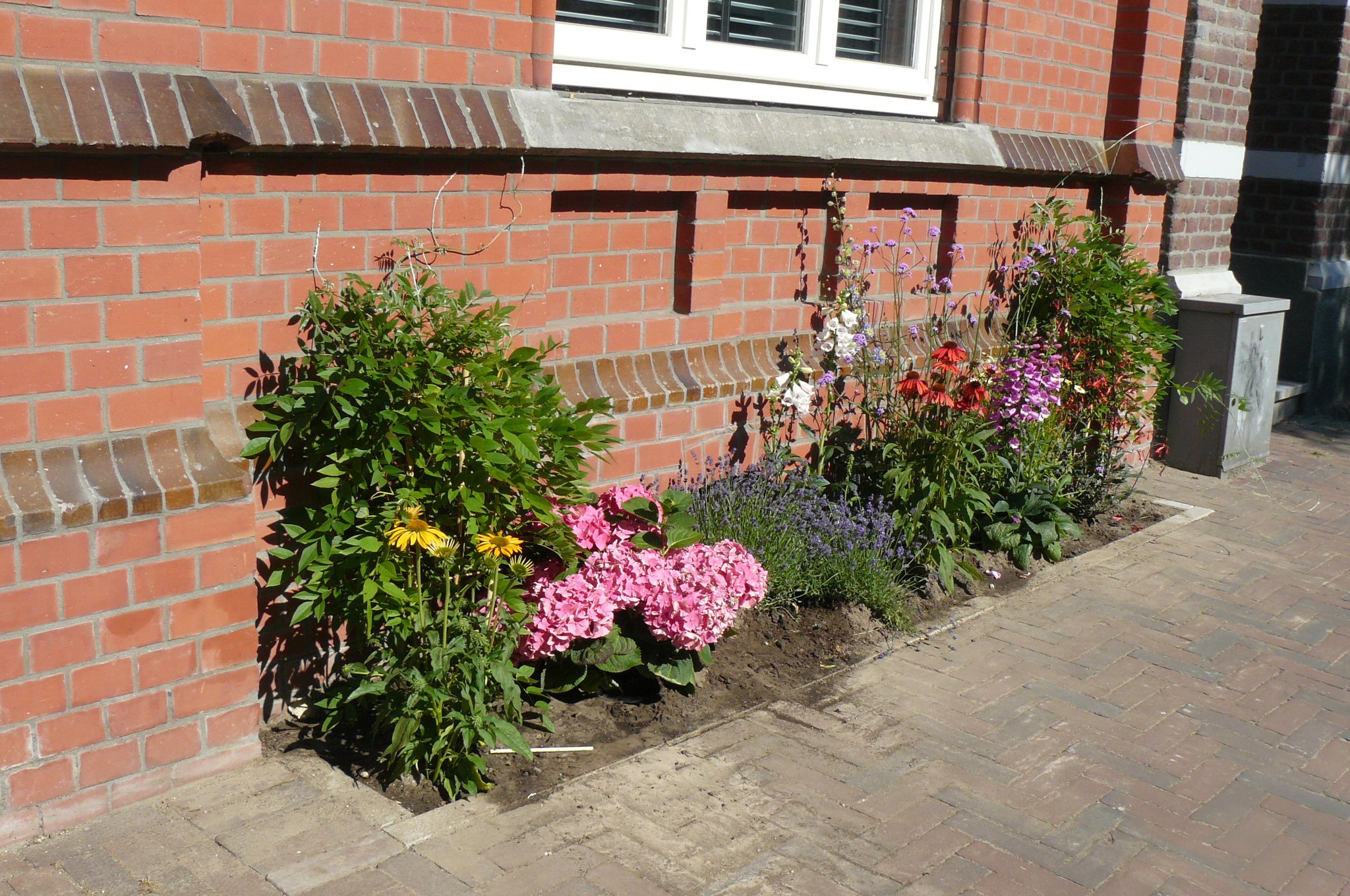 Roermond: Verfraai uw huis met een mooie geveltuin | HALLO Online